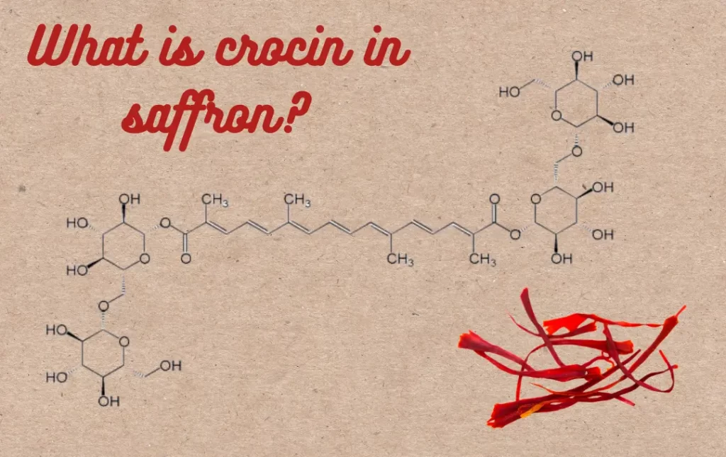 What is crocin in saffron? [3 important benefits]